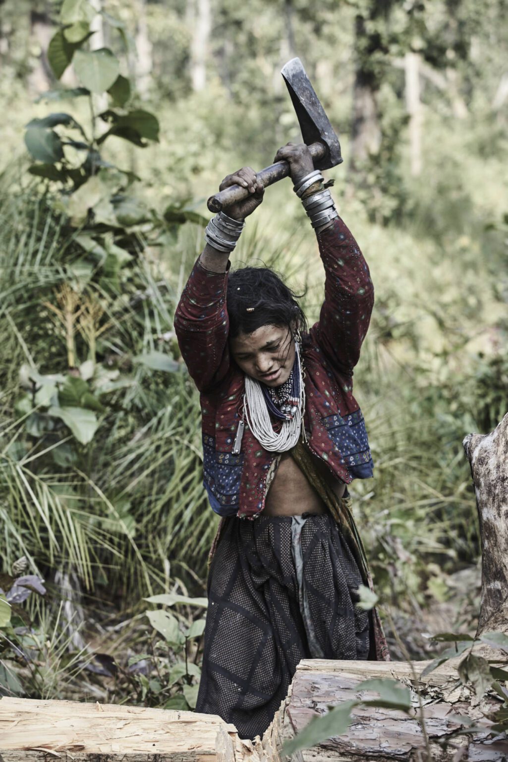 The Last Nomadic Hunters-Gatherers of the Himalayas The Last Nomadic Hunters-Gatherers of the Himalayas